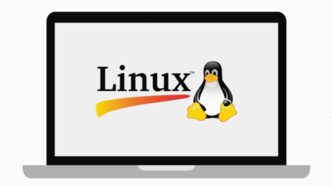 The Golden Age of Linux - Slanted Media