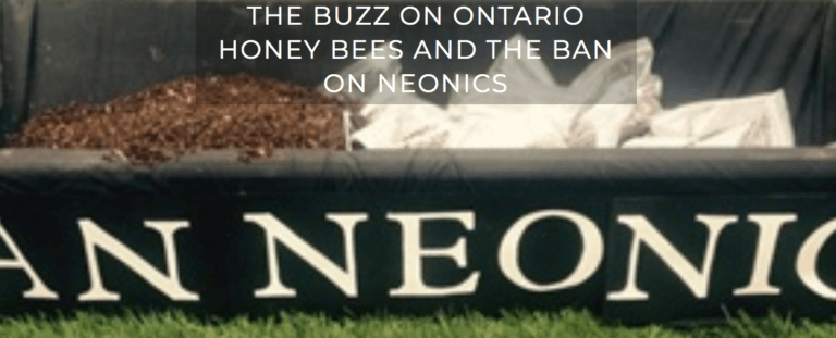 Mayday, 5000 Bee Species Missing In Action - Slanted Media