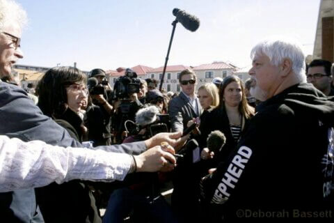Setting the Record Straight: Captain Paul Watson’s Departure from the ...